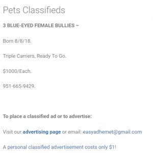 Easy-Ad Text Ad Information - Easy Ad - Local Small Business Resources